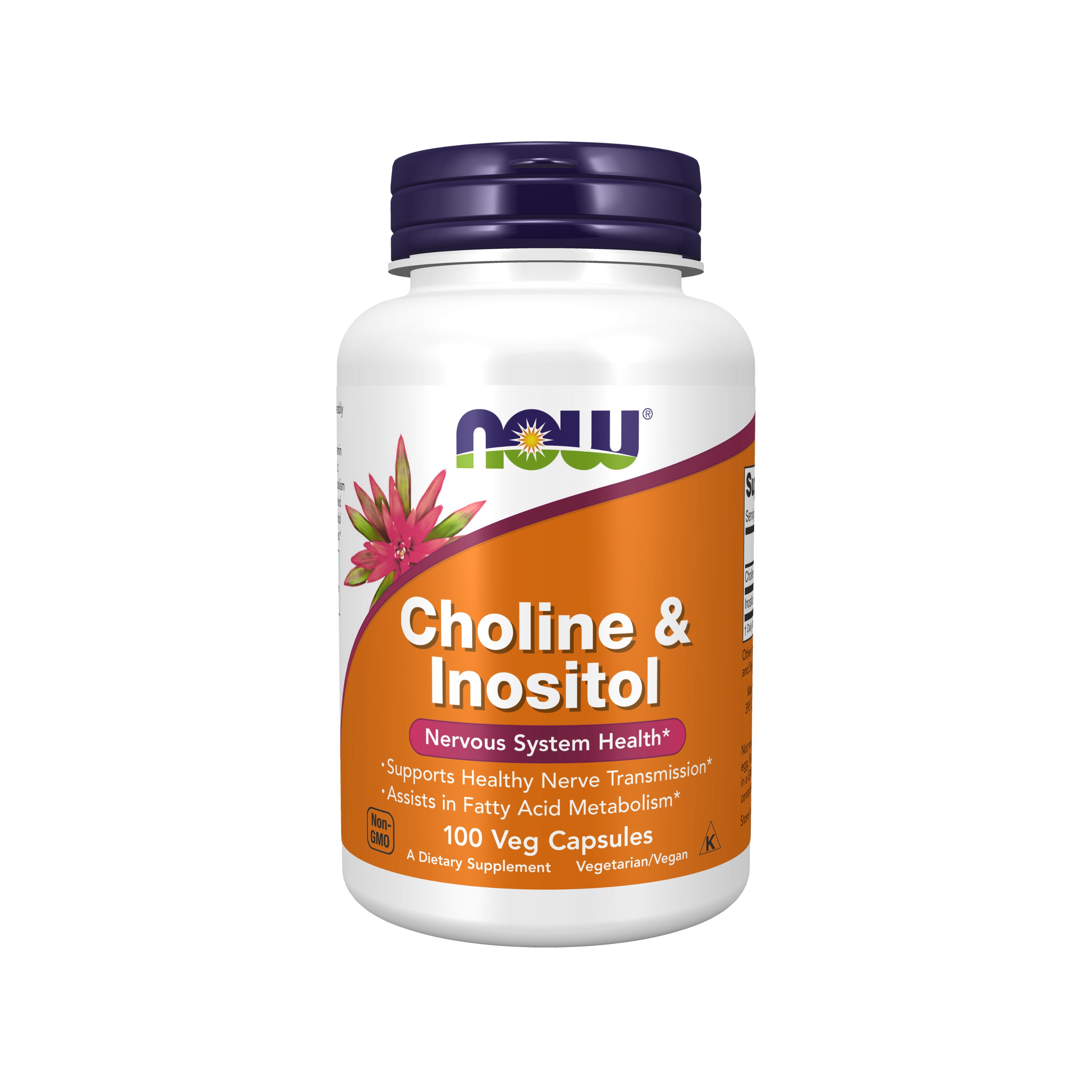 NOW Foods Choline & Inositol - For Nervous System Health | Grove ...